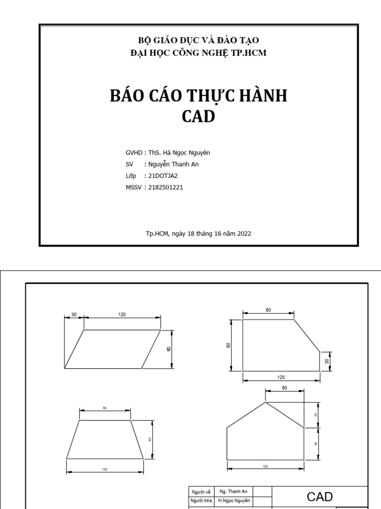 Báo Cáo Cad | PDF