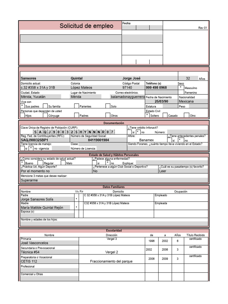 Solicitud de Empleo Actualizada | PDF