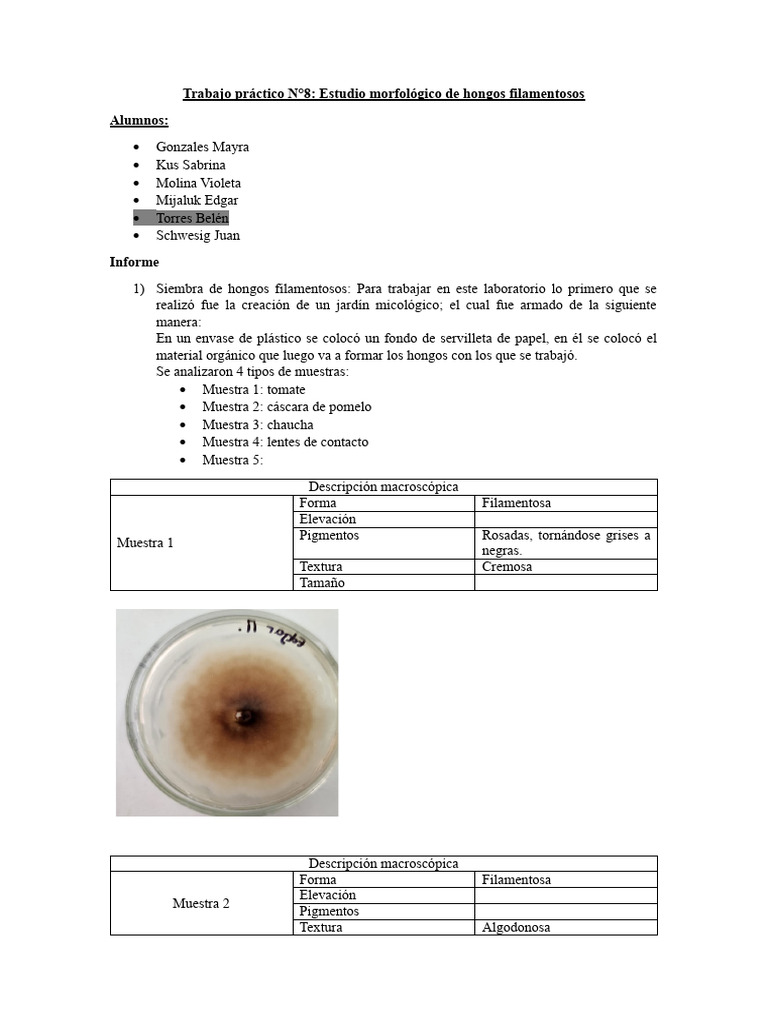 Laboratorio de Hongos | PDF | Hongo | Seta