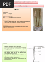 Phylum Priapulida | PDF