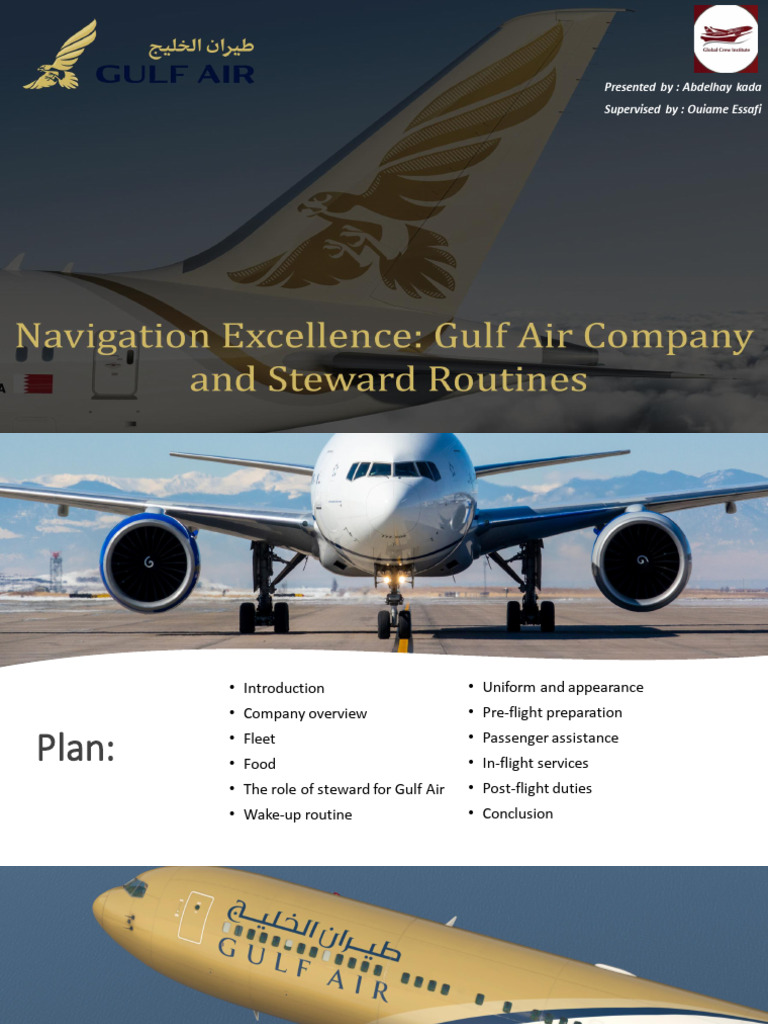 Présentation 4 | PDF | Flight Attendant | Transport