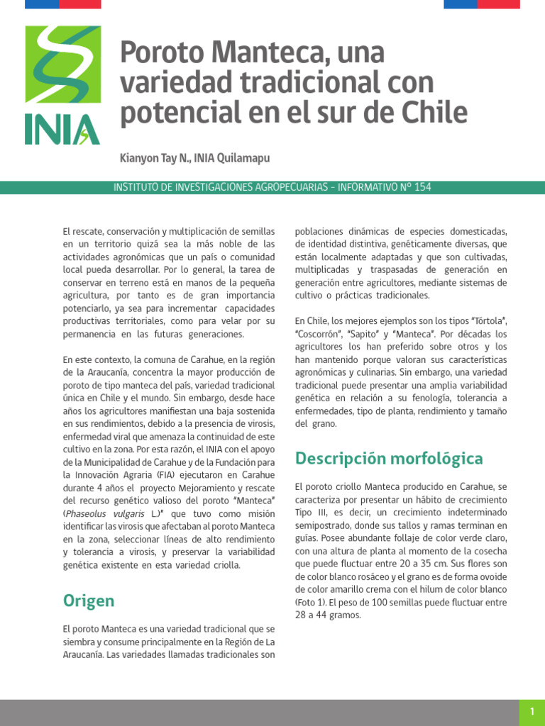 Poroto Manteca, Variedad Tradicional | Descargar gratis PDF ...