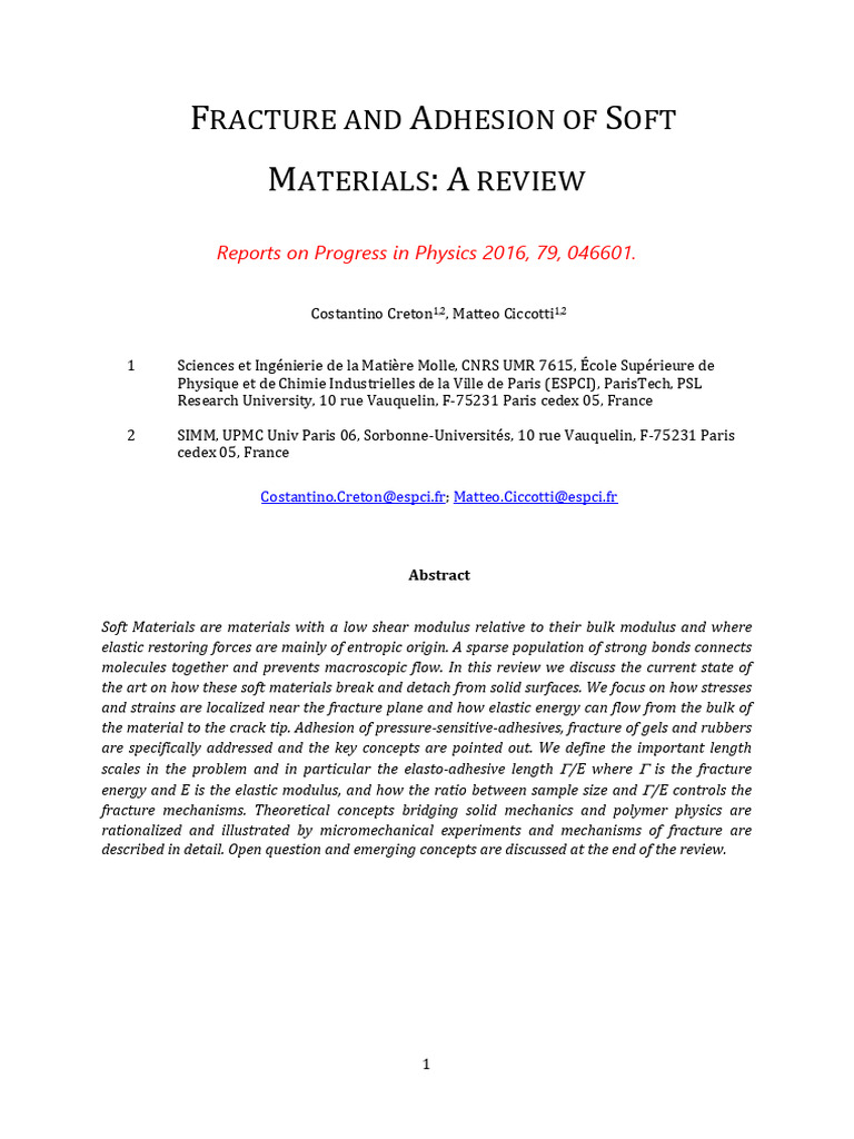 Physical Concepts and Scales in The Frac | PDF | Fracture Mechanics | Fracture