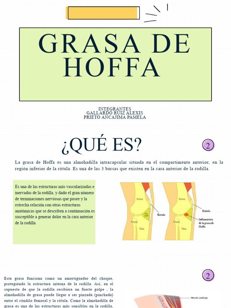 Hoffitis: Dolor y Tratamiento | PDF | Rodilla | Medicina