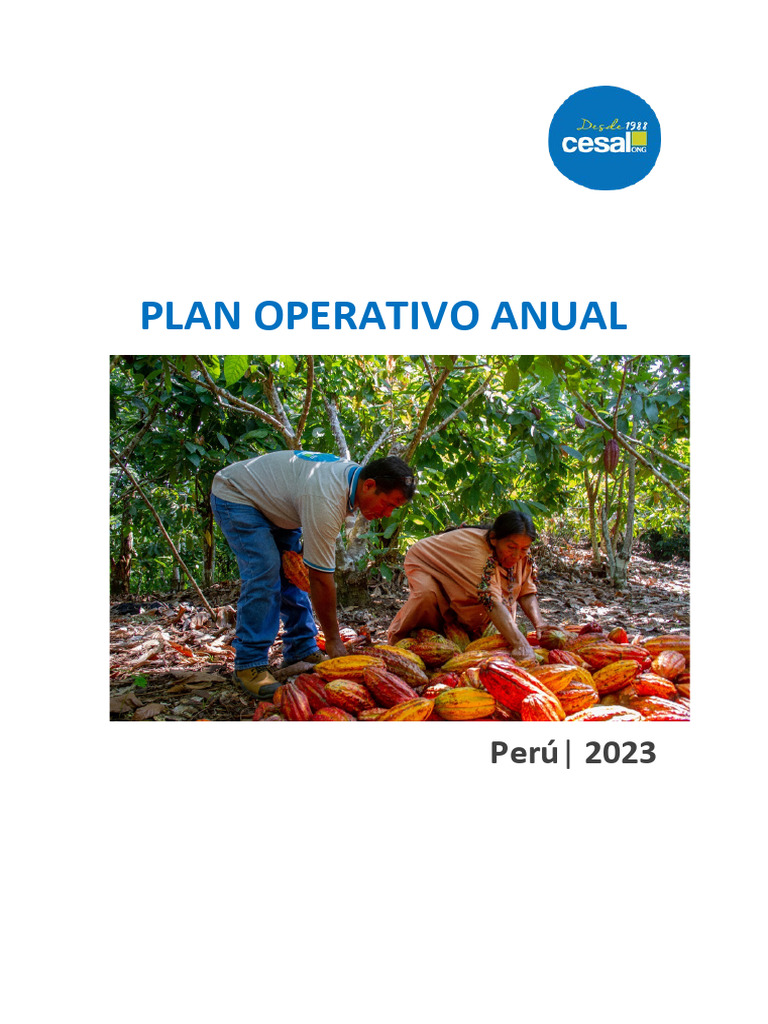 Poa Cesal Peru 202344 | PDF | Perú | Organización no gubernamental