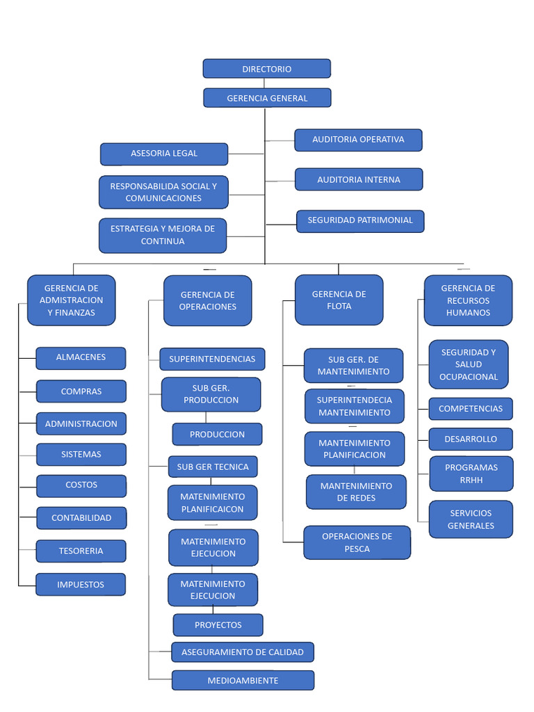 ORGANIGRAMA | PDF | Economias | Business