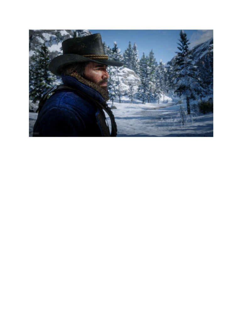RDR2 | PDF