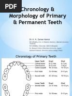 Dental Anatomy: Teeth Nomenclature & Numbering | PDF | Dental Anatomy ...