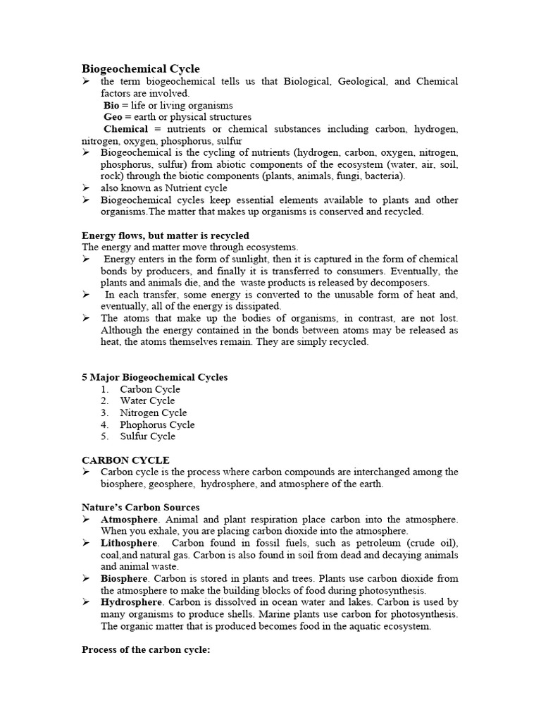 Biogeochemical Cycle - Handout | PDF | Carbon Cycle | Soil
