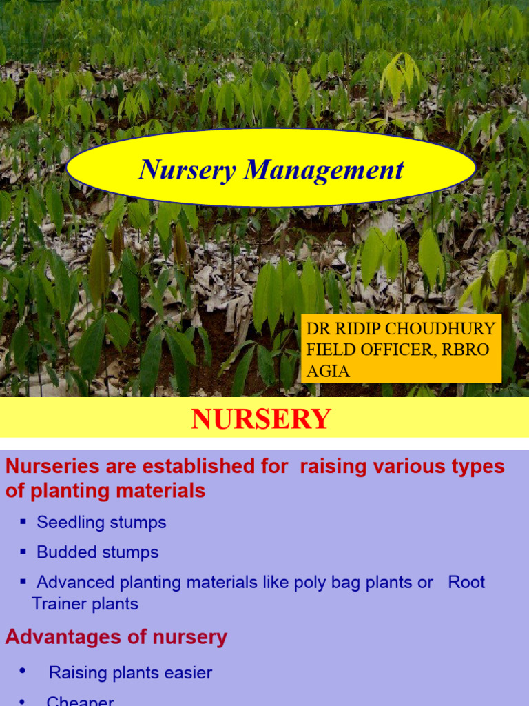 Nursery Management | PDF | Grafting | Plant Nursery