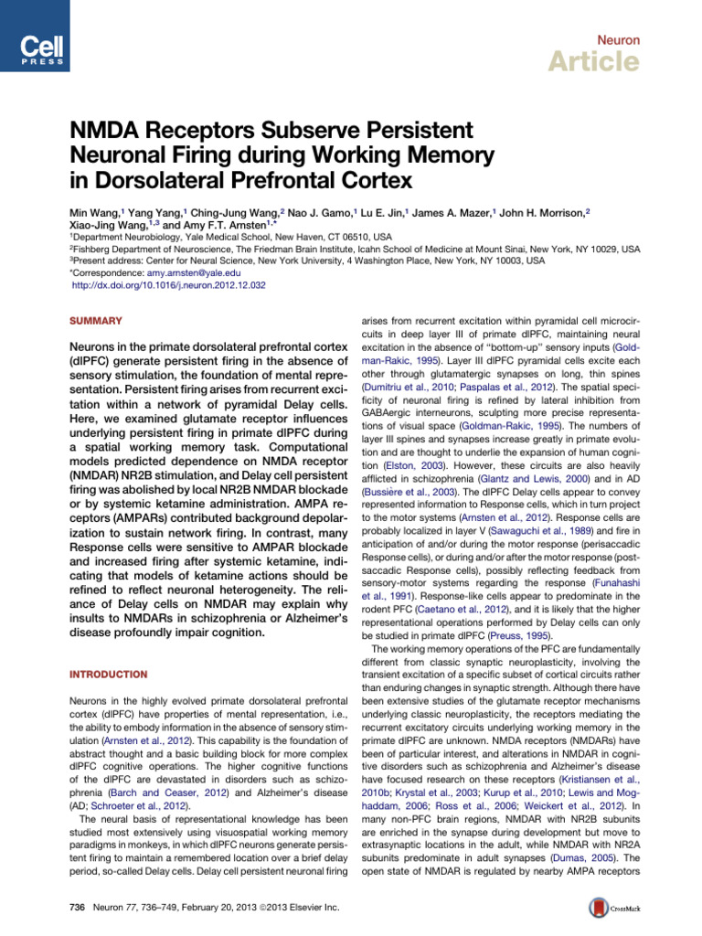 Nmda Receptors Subserve Persistent Neuronal Firing During Working Memory In Dorsolateral
