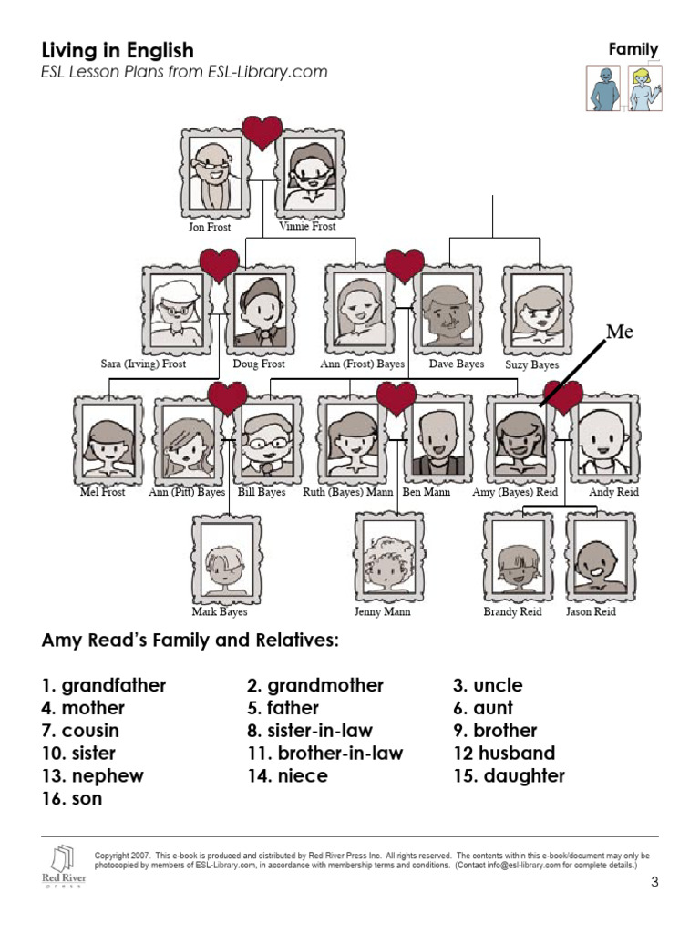 The Family - Vocabulary | PDF | Family | Grandparent