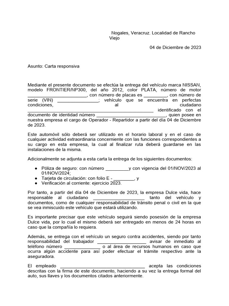 Formato Carta Responsiva | PDF