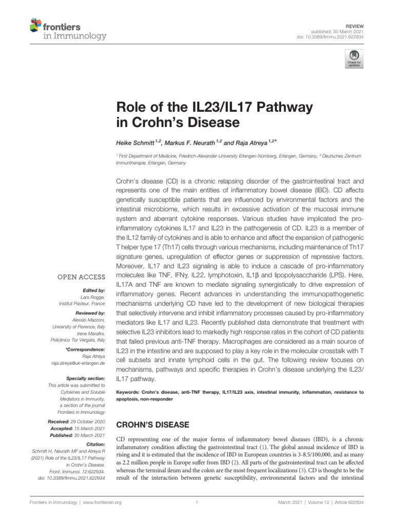 Role of The IL23 IL17 Pathway in Crohn's Disease | PDF | T Helper Cell ...