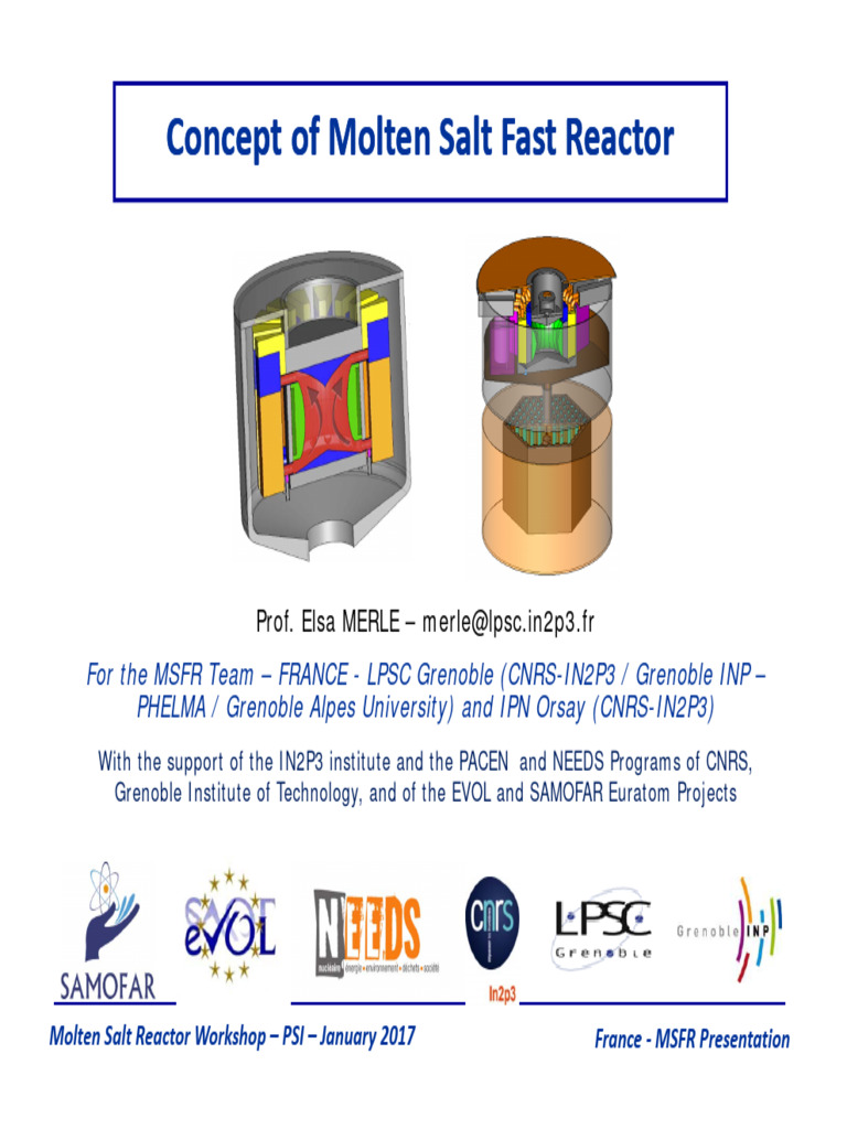 Concept of Molten Salt Fast Reactor, Elsa Merle France | Download Free ...
