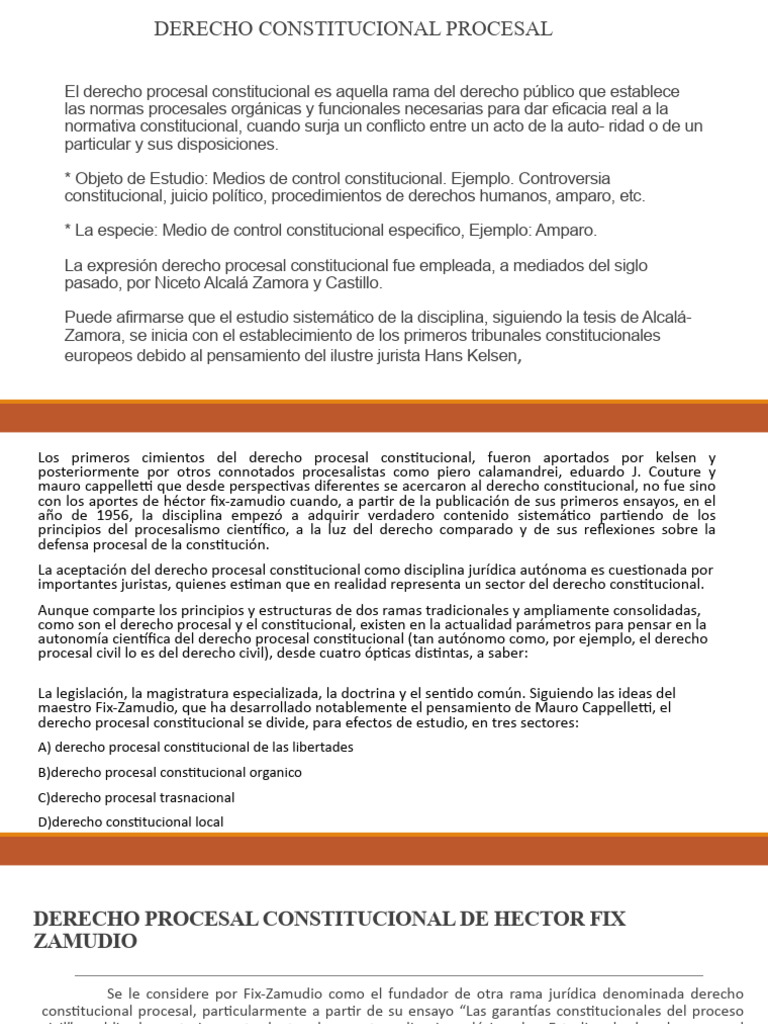 El Derecho Procesal Constitucional | PDF | Ley procesal | Jurisdicción