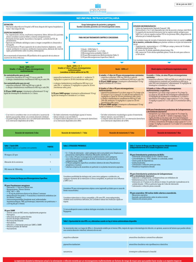 Flujog-6 Nemonia Intrahospitalaria | PDF | Neumonía | Tos