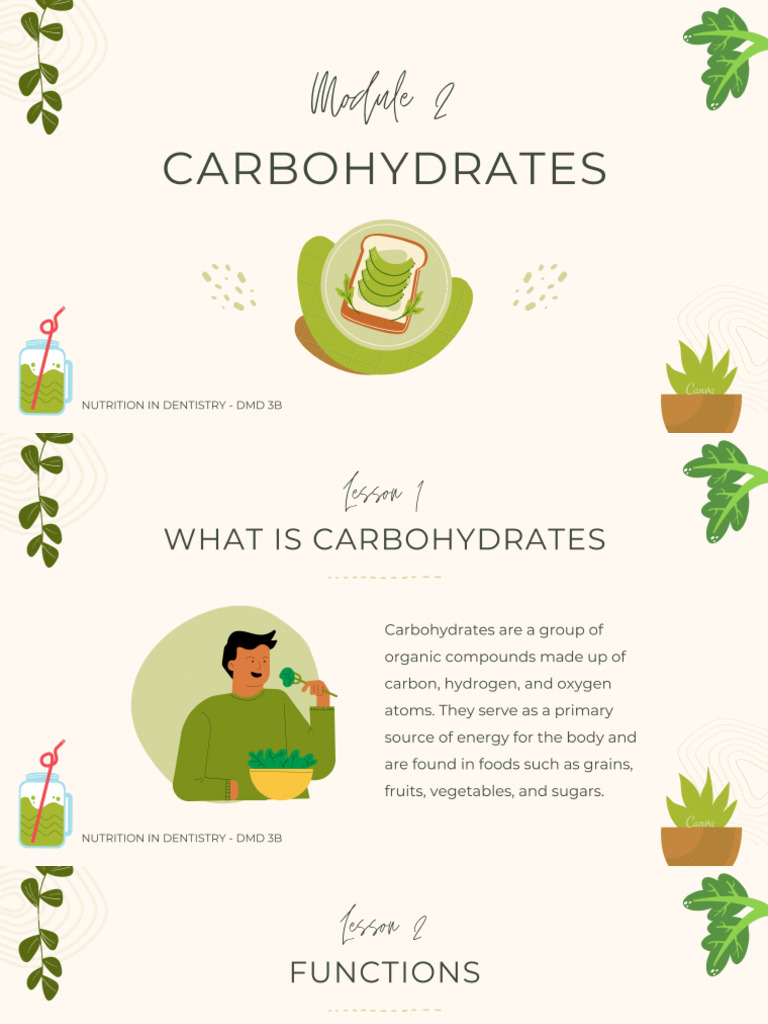 Group 2 Carbohydrates | PDF