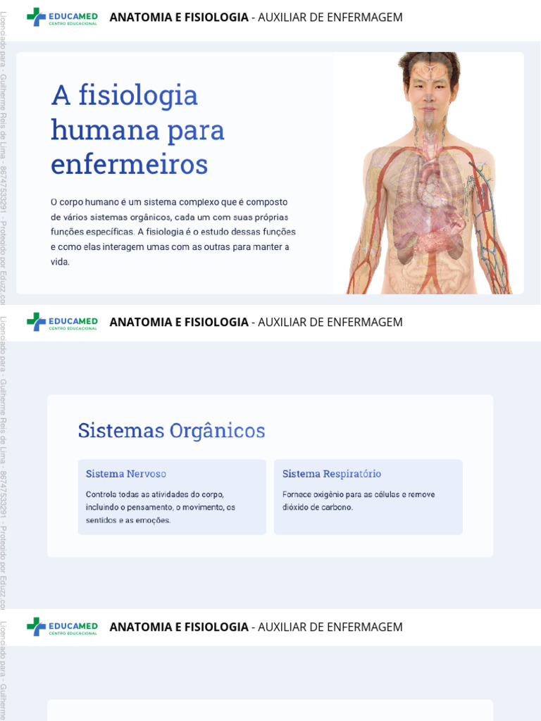 Aula 04 Anatomia e Fisiologia Humana | PDF | Morfologia (Biologia ...