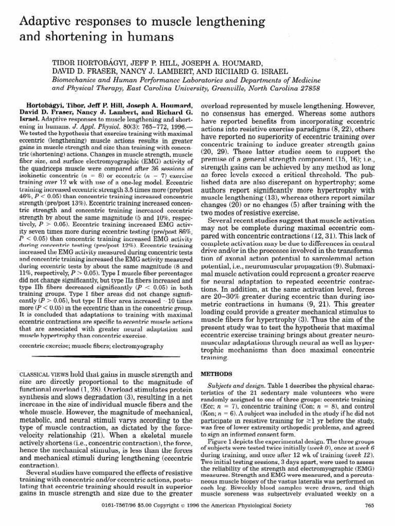 Adaptive Responses To Muscle Lengthening and Shortening in Humans | PDF ...