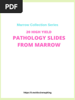 Pathoma Fundamentals of Pathology | PDF