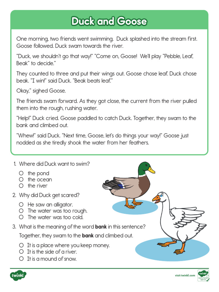 Second Grade Duck and Goose Reading Passage Comprehension Activity | PDF