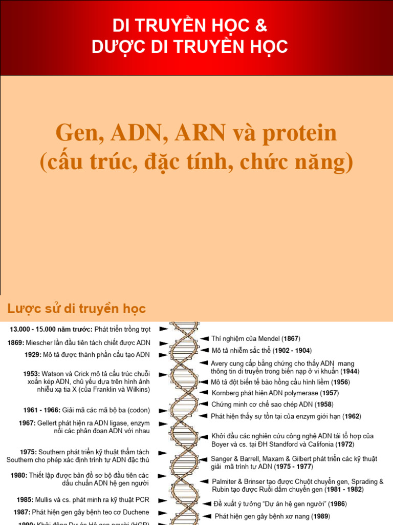 1-Gen, ADN, ARN Protein | PDF