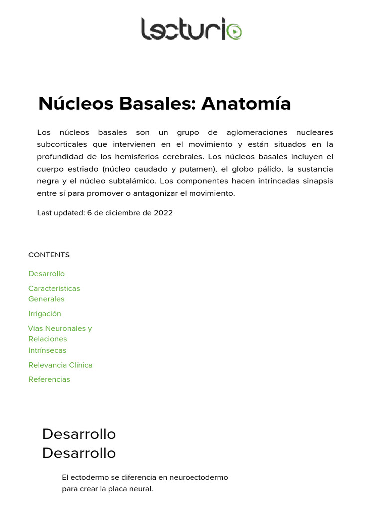 Anatomía de los Núcleos Basales | PDF | Ganglios basales | Enfermedades ...