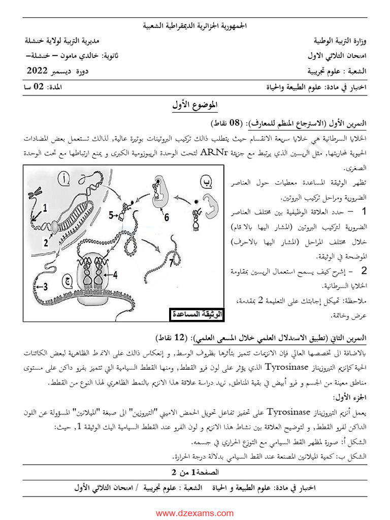 Dzexams 3as Sciences Naturelles 414618 | PDF