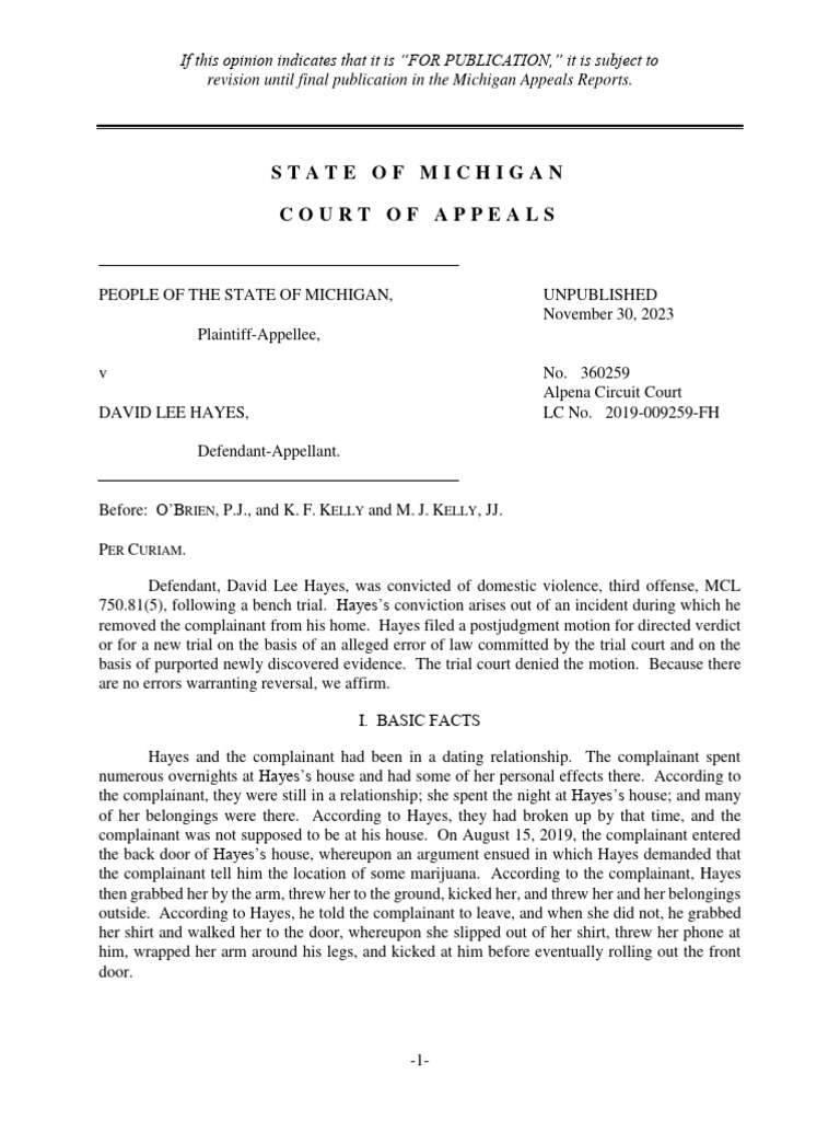Michigan Appeals: Hayes Domestic Violence Case | PDF | Standard Of ...