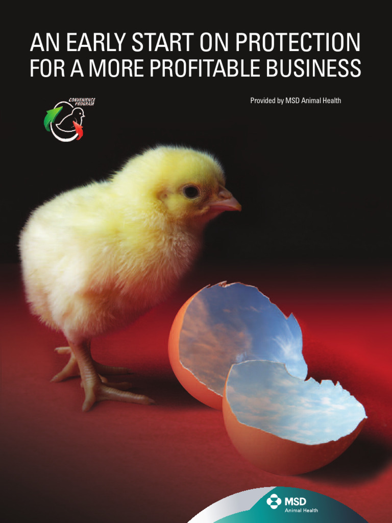 Convenience WP 8pg Insert Final | PDF | Vaccines | Birds