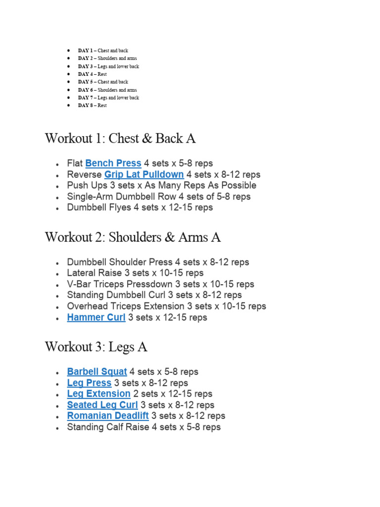 Arnold 6-Day Workout Split Plan | PDF