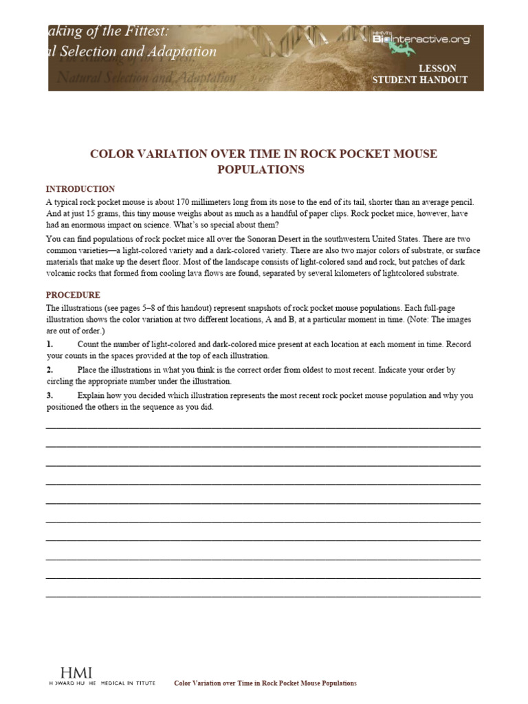 Rock Pocket Mouse Color Variation Study | PDF | Mouse | Natural Selection