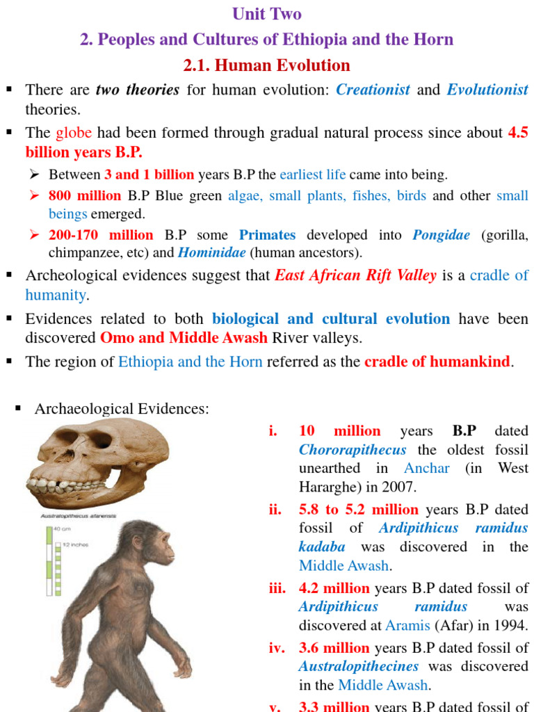 Hist 2 | PDF | Homo | Stone Age