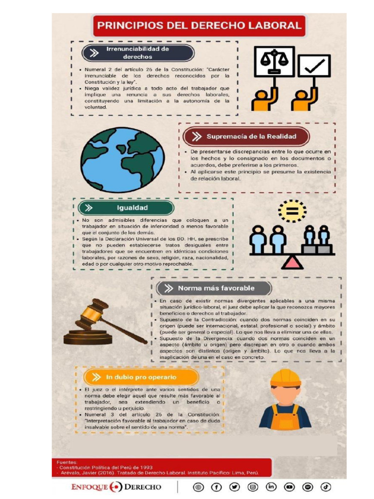 Infografia-Principios Derecho Laboral | PDF