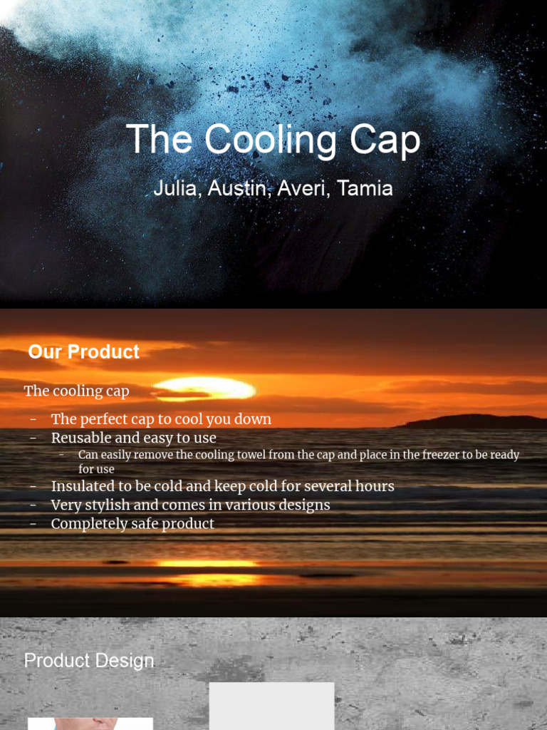 Shark Tank Presentation | PDF