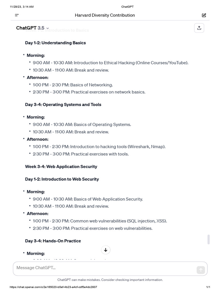 Chat GPT1 | PDF | Computers | Technology & Engineering