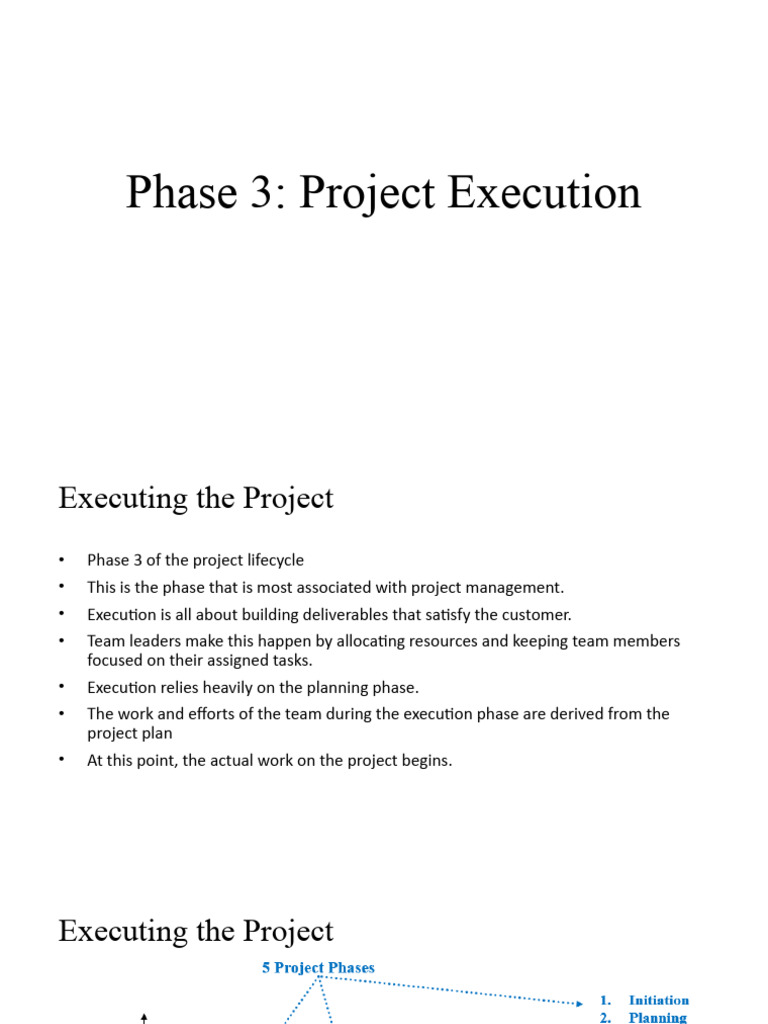 Project Execution & Monitoring Guide | PDF | Performance Indicator ...