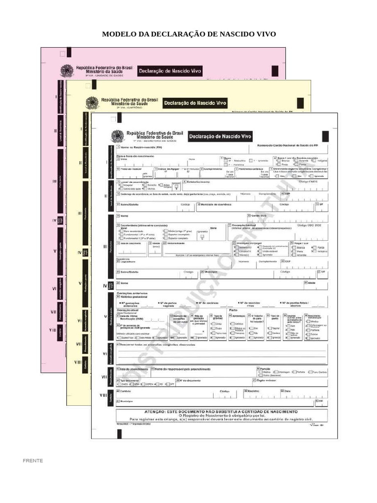 Modelo DNV 2023 | PDF