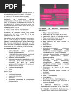 Embarazo Postermino | PDF | El embarazo | Parto