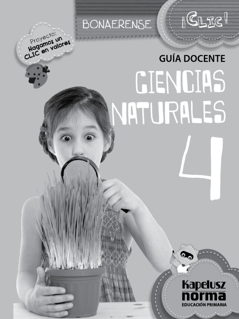 GD Clic Naturales Bonaerense 4 | PDF | Imán | Electricidad