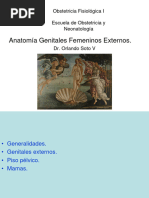 Anatomía y Cultura de las Nalgas | PDF | Nalgas | Anatomía humana