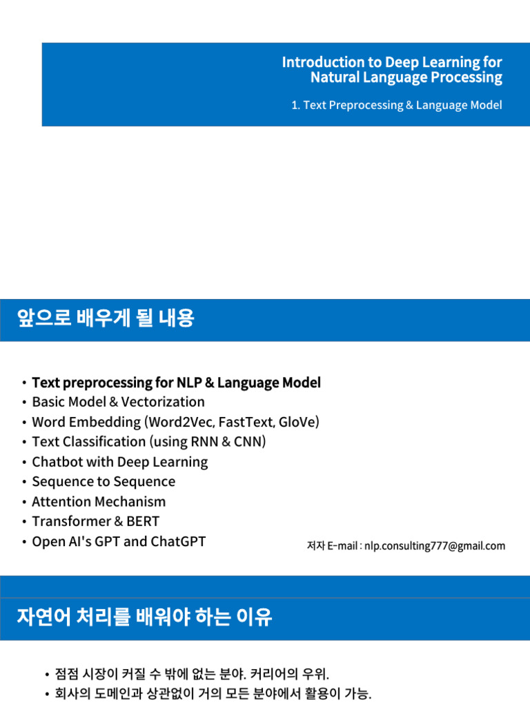 Text Preprocessing For NLP - Language Model (2023) | PDF