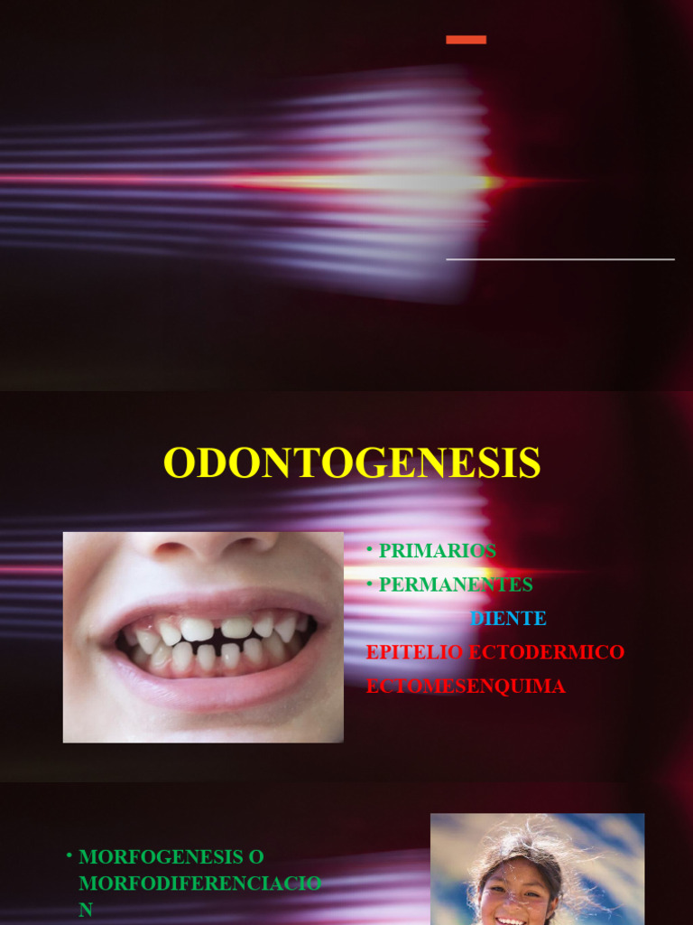 Odontogenesis | PDF | Epitelio | Esmalte de dientes