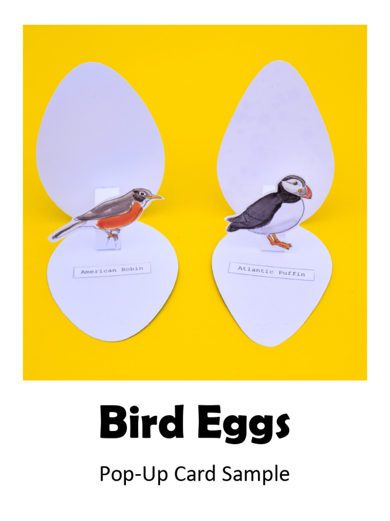 Bird Pop Up Card Sample | PDF