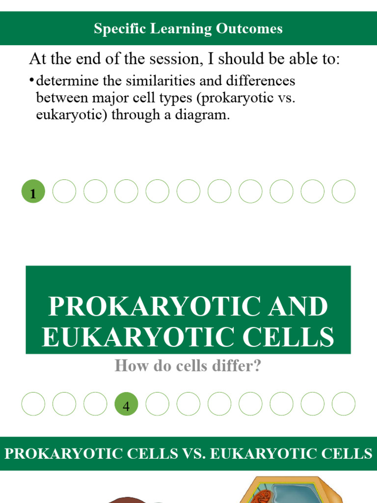 Prokaryotic vs. Eukaryotic Cells | PDF