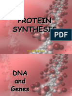 Protein Synthesis Answers | PDF