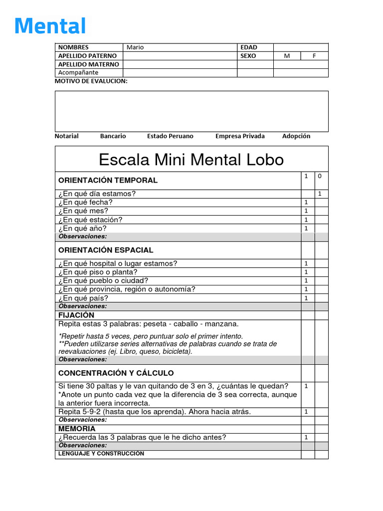 Mini Mental Test | PDF | Neurociencia | Cognición