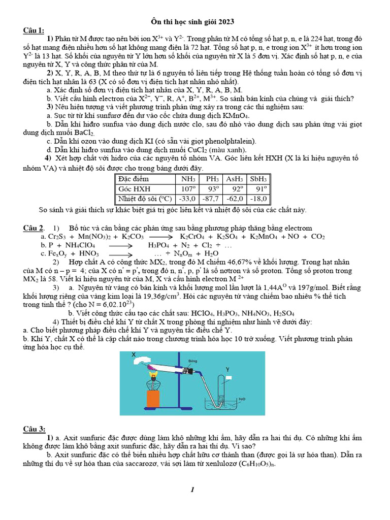 Ôn HSG 11 2023 2024 | PDF