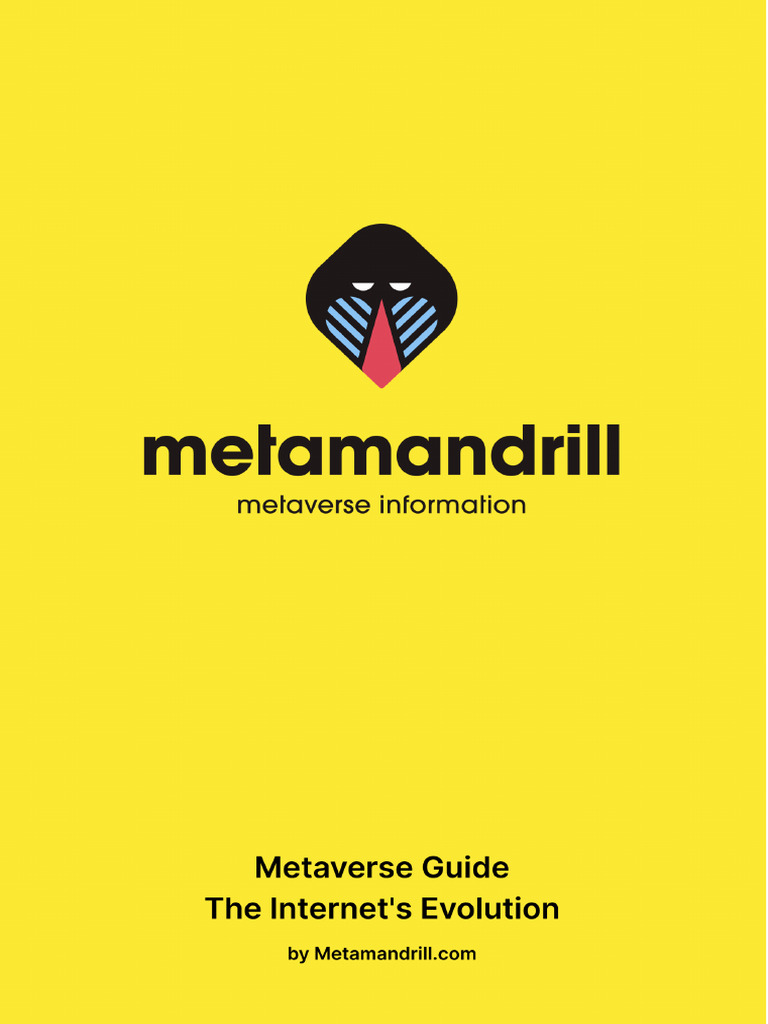 The Metaverse Guide The Internets Evolution Version 1.6 | PDF | Virtual ...